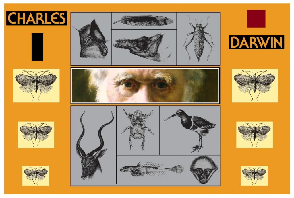 Si Darwin estuviera vivo ahora, no sería darwinista: Agustín Fuentes ...