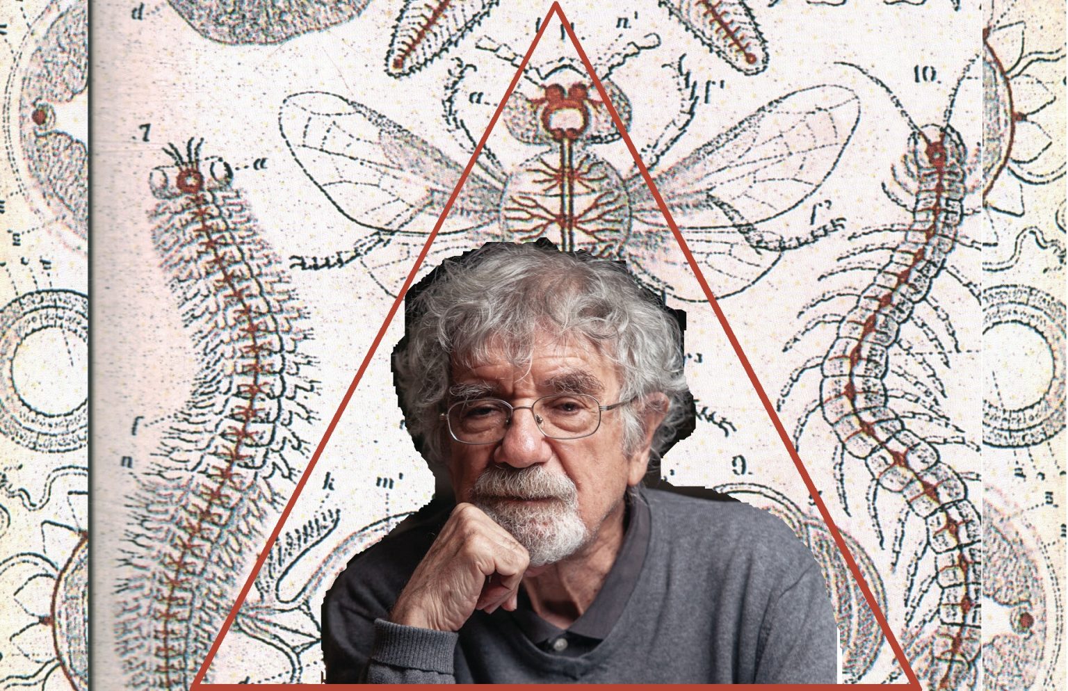 «In memoriam»: Humberto Maturana (1928-2021) - Salida de Emergencia