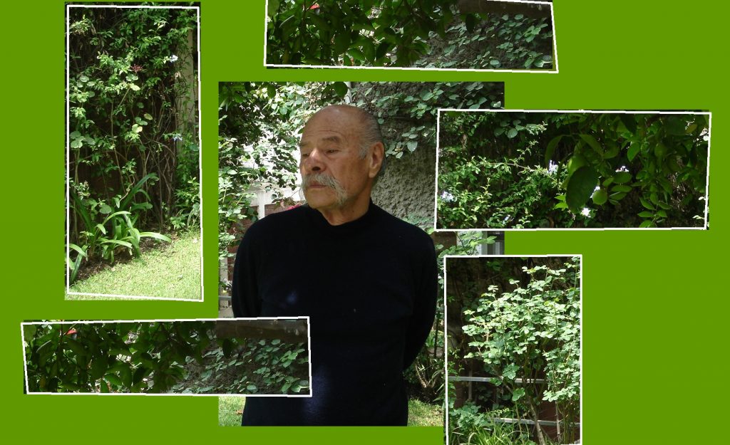 “Todos los mediocres se mueren a sí mismos” - Salida de Emergencia