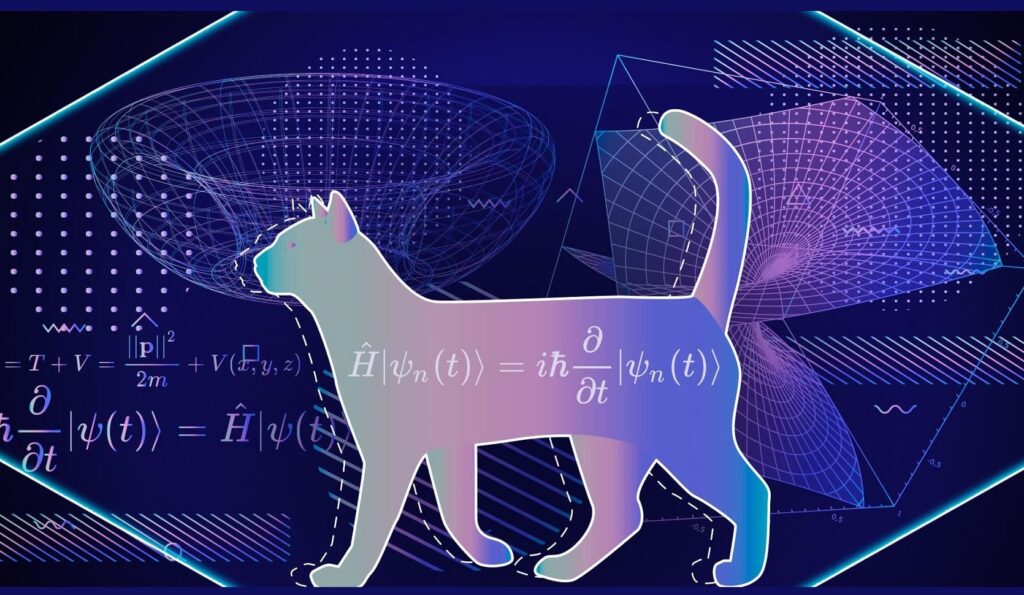 ¿Qué pasó con el gato filósofo de Schrödinger? - Salida de Emergencia