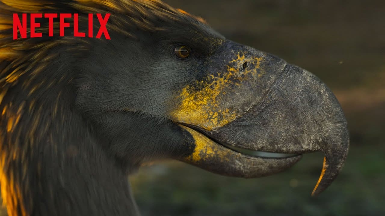“Las aves del terror fueron animales fantásticos” - Salida de Emergencia